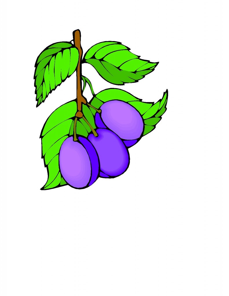 Fructe și Legume- Planșe - ilustrate colorate